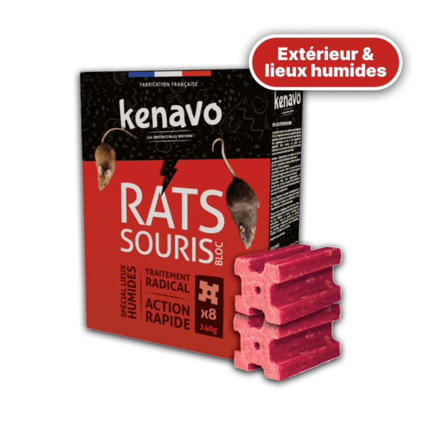 Comment choisir son raticide ? - Kenavo