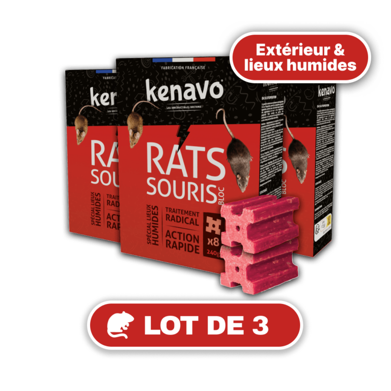 Produits anti rats pour particuliers - Kenavo
