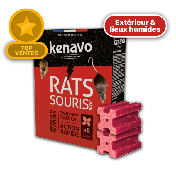 Produits anti rats pour particuliers - Kenavo