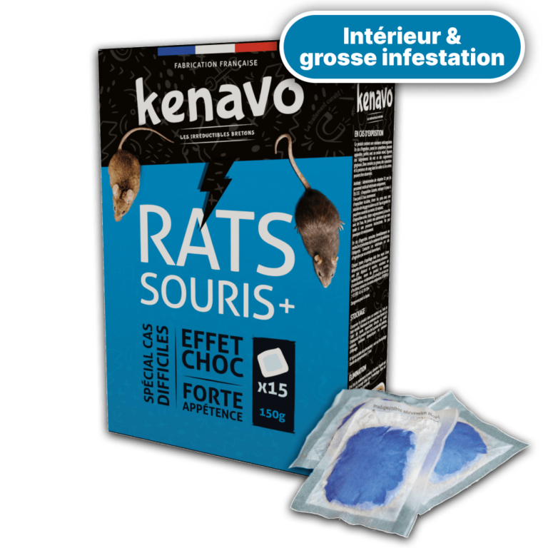 Produits anti rats pour particuliers - Kenavo