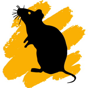 Comment choisir son raticide ? - Kenavo