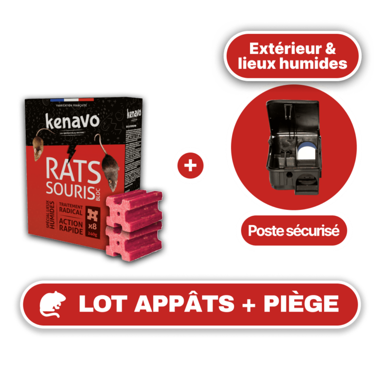 Comment choisir son raticide ? - Kenavo